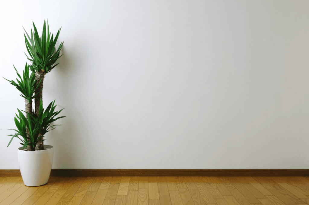 How to reduce heat loss through your walls - TheEcoStore